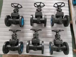 API 602 vs API 600: Understanding the Differences Between Valve Standards