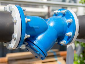 Strainer Insights: Types, Functions, and Industry Analysis