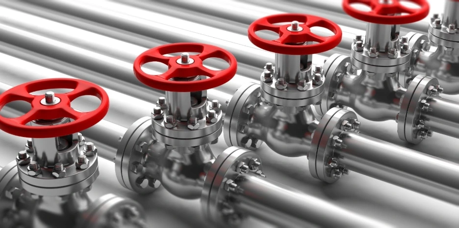 Wafer Check Valves vs Swing Check Valves: How to Choose?